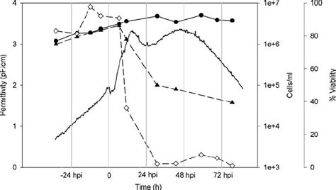 Profile Of The Raav Production Process At 40 L Scale And Online