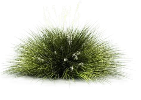 Grass For Revit
