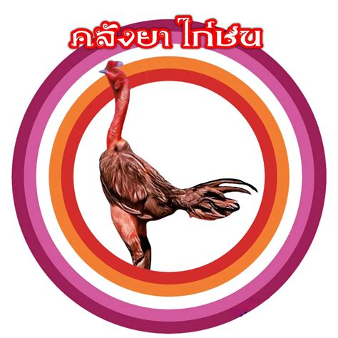 คลังยา ไก่ชน ยาและวิตามินไก่ชนทุกชนิด Si Sa Ket