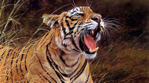 100 Angry Tiger Wallpapers