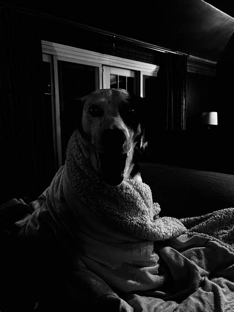 29 Best Catalog Girls Images On Pholder Mandela Catalogue Girls