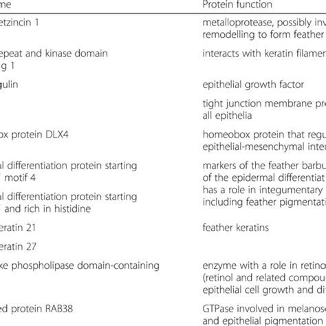 cluster analysis using self organizing map with further panther download scientific diagram