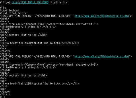 How To Use Ethernet In Fuzix OS With W5500 And Raspberry Pi Pico