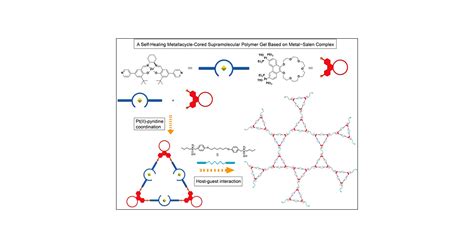 Self Healing Metallacycle Cored Supramolecular Polymers Based On A Metalsalen Complex