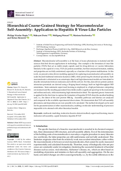 Hierarchical Coarse Grained Strategy For Macromolecular Self A