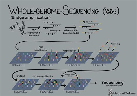 Medical Zebras Methods
