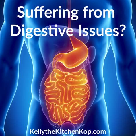 Digestive System Problems Kelly The Kitchen Kop