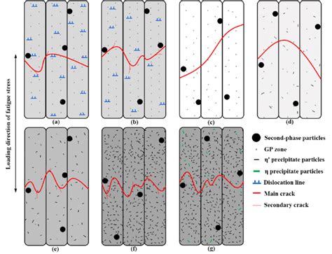 Schematic Drawing Of Fatigue Crack Initiation And Propagation Of 7005 Download Scientific