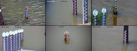 Samples Of The Gauge Dataset Download Scientific Diagram