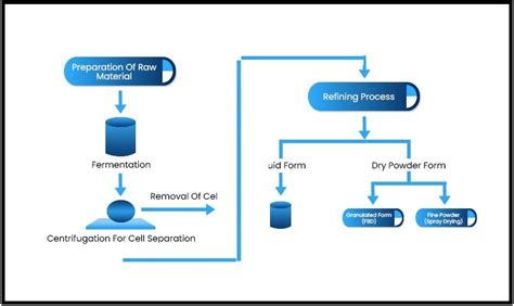 Raj Process Enzyme Powder Plant