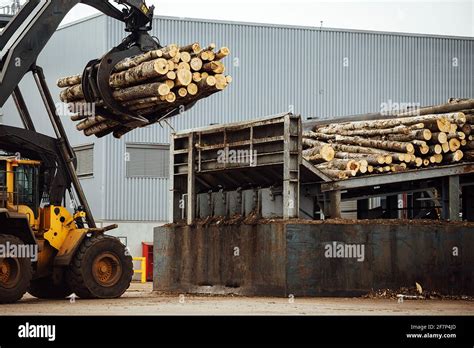 Front Loader For Loading Timber An Industrial Tractor Transports