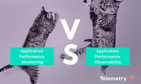 Apm Vs Application Performance Observability Whats The Difference Resources Telemetryhub