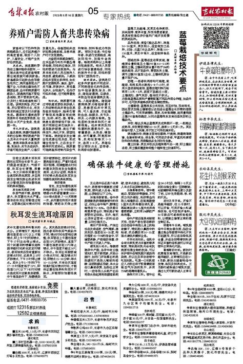 吉林城乡网 花生什么时候采收
