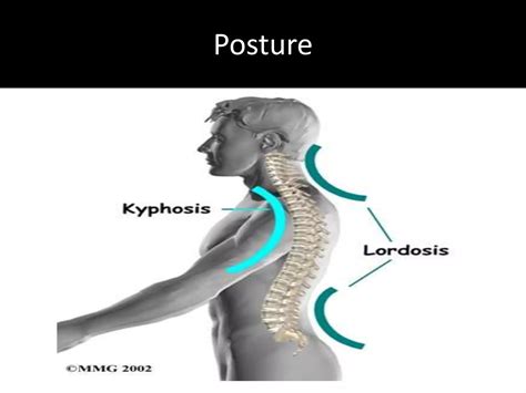 Low Back Dysfunction For Acute And Chronic Injuries Ppt