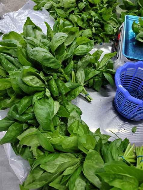 Fresh Produce Exporters Jamaica At Darcy Trugernanner Blog