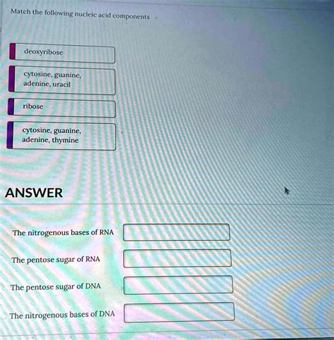 Match The Following Nucleic Acid Components Deoxyribose Cytosine Guanine Adenine Uracil