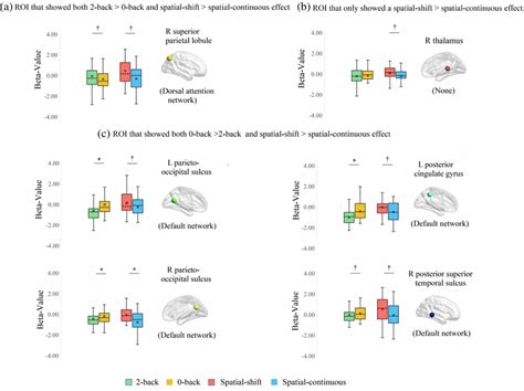 the six rois that showed spatial‐shift spatial‐continuous effect