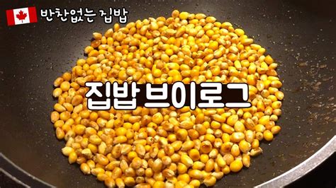 🇨🇦캐나다 밥해먹는 브이로그 반찬없는 1일1고기 집밥 Youtube