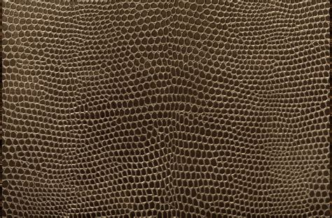 Texture Shell Reptile Free Photo On Pixabay Pixabay