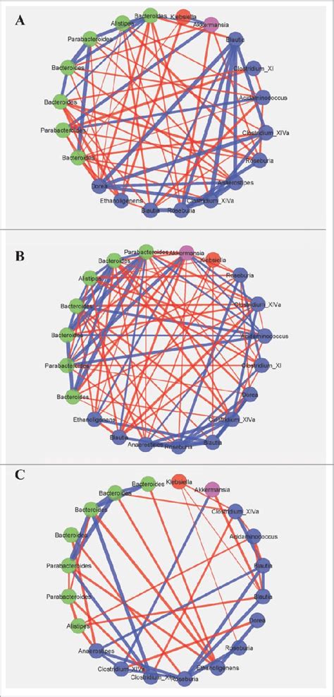 SparCC Significant Correlations P
