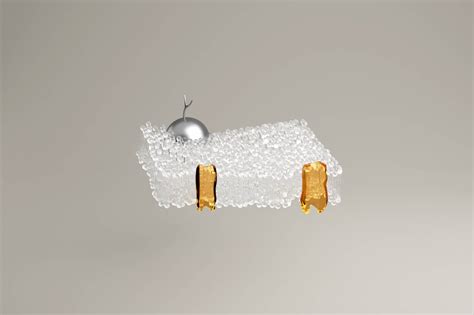 Why Do We Age Deregulated Nutrient Sensing