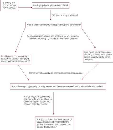 Mental Capacity In Practice Part 2 Capacity And The Suicidal Patient Bjpsych Advances