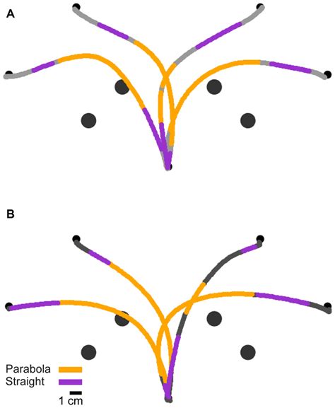 geometric segmentation a trajectories of a typical subject from the