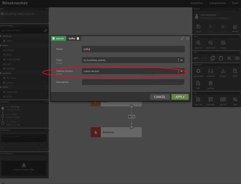 How To Handle Quickly Evolving Elasticsearch Documents In Nussknacker