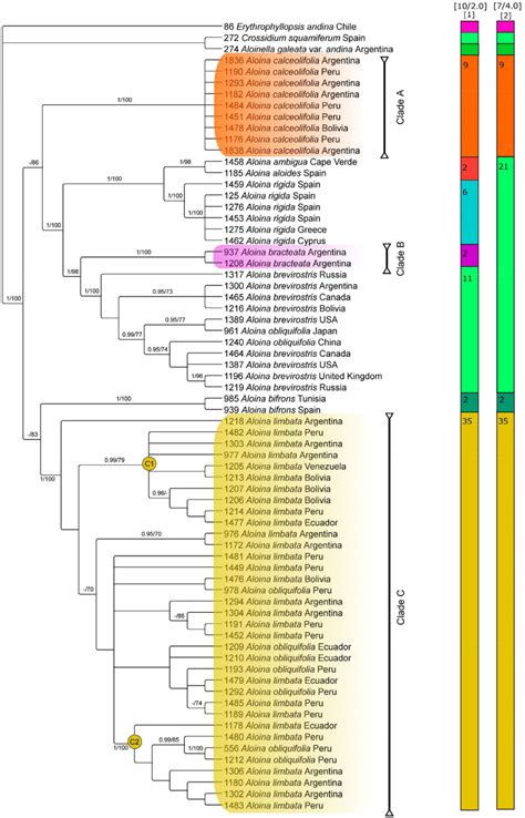 Figure 3 From Integrative Taxonomy Reveals Hidden Diversity In The Aloina Catillum Complex