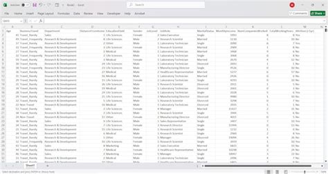 Do Accurate Data Entry Excel Work And Data Cleaning By Karunaraja Fiverr