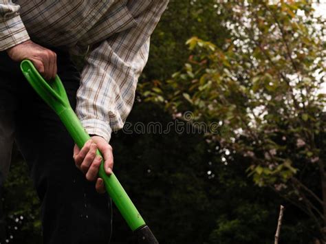 Gardener Digging Garden With Spade Medium Stock Photo Image Of Dirt Green 318389256