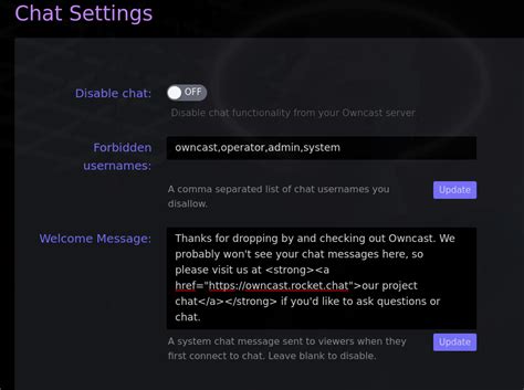 admin chat settings page shows update buttons by default · issue