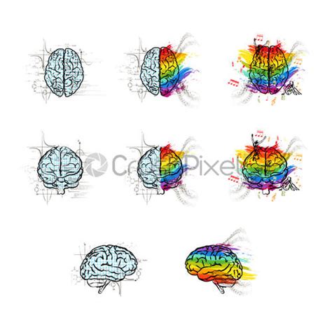 Technical And Art Hemispheres On Human Brain Left And Right Stock