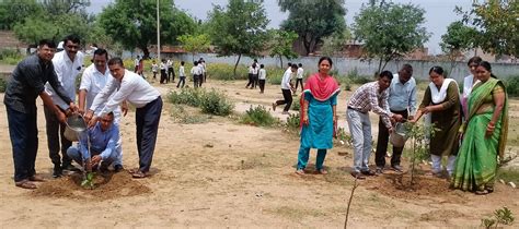 Medicinal Plants विद्यालय में औषधीय पौधे लगाकर अध्यापक ने मनाया 50 वां