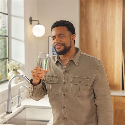 Water Filtration Drinking Delta Faucet
