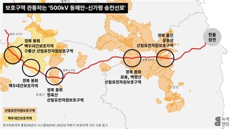강원도 중심 강원도 세상