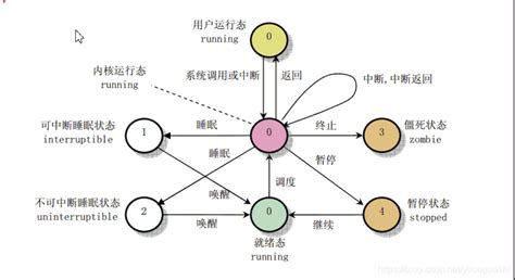 进程的详解（进程和程序，进程调度，进程同步和互斥（经典同步问题） ） 进程同步思考 如果要让子进程先调度完成后 再去调度父进程 该如何修改