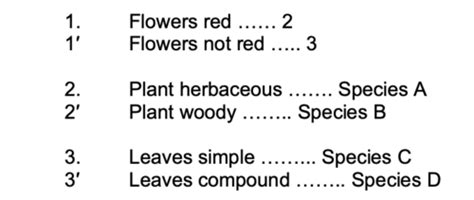 Dichotomous Keys Module Flashcards Quizlet