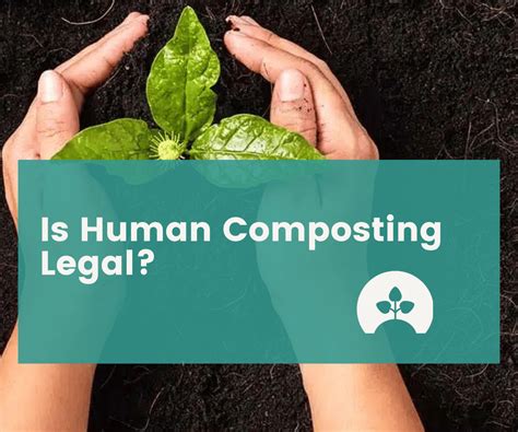 Is Human Composting Legal Return Home