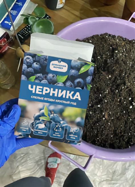 ЯГОДНИЦА ДОМАШНИЙ ФЕРМЕР купить в Москве 🚨 ЦЕНА 168 РУБ