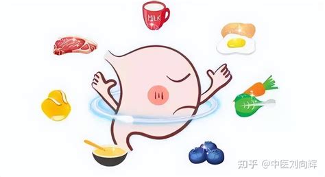 桂附地黄丸附子理中丸哪个补阳更好一次讲清教你正确补阳 知乎