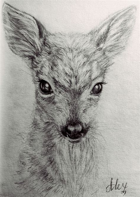Fawn Art Drawing Prints A4 A3 Size Greetings Note Card Card Etsy Uk