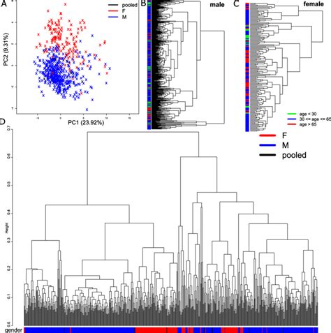 Sex Differences Are More Prominent Than Age Differences In Prefrontal Download Scientific Sex Differences Are More Prominent Than Age Differences In Prefrontal Download Scientific