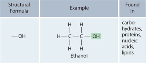 Bio 1306 Ch 3 Flashcards Quizlet