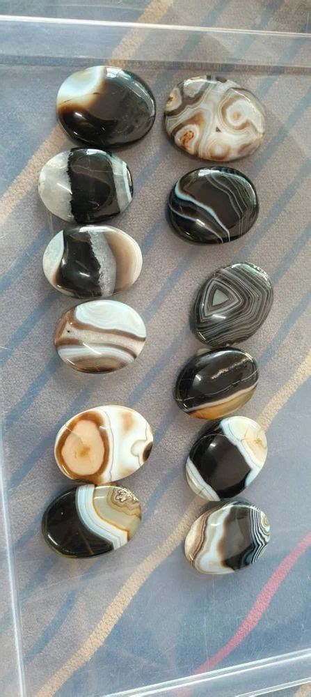 White Natural Gomati Chakra Gomati Chakra For Healing At ₹ 500 Kg In