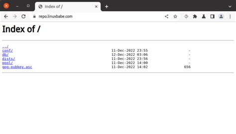 How To Set Up Apt Package Repository On Debianubuntu Server