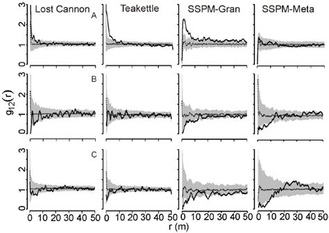 Bivariate Pair Correlation Functions For All Pairwise Tree Size Classes