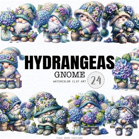 Watercolor Hydrangeas Gnomes Png Cute Floral Gnome Valentines Gnomes
