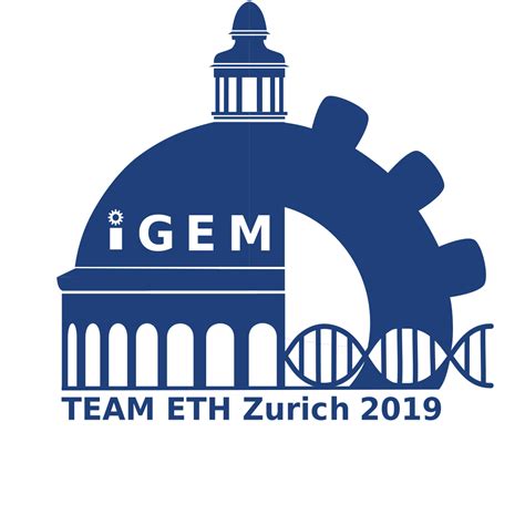 Igem Eth Zürich Igem 2017 Summer Competition The Most Exciting