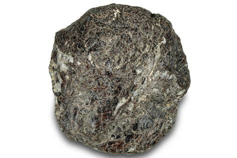 225 Fossil Xiphactinus Cretaceous Fish Premax W Teeth Texas